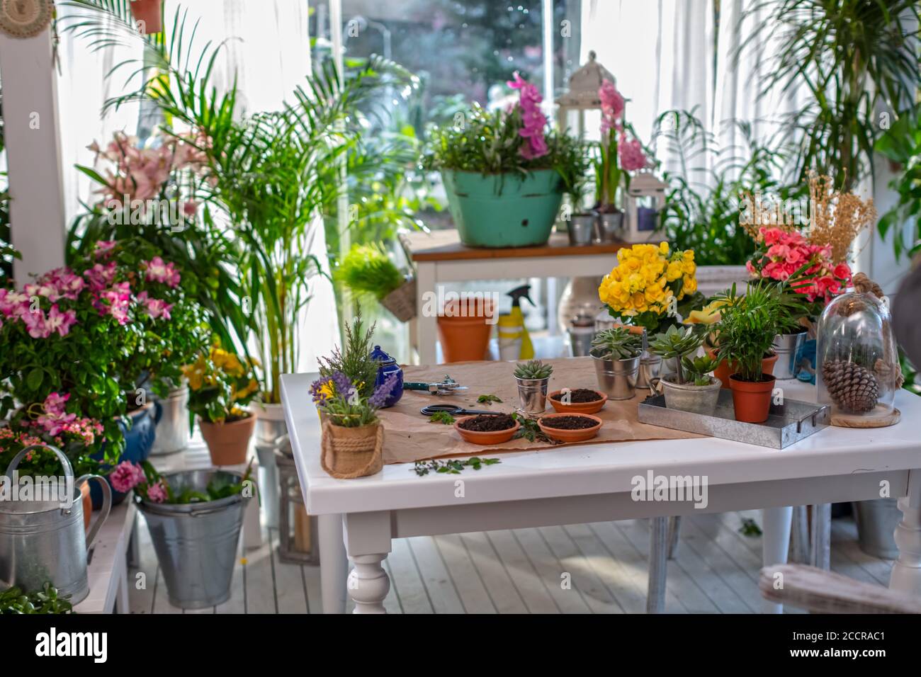 Flower Shop, Flowers and Accessories Stock Photo - Alamy