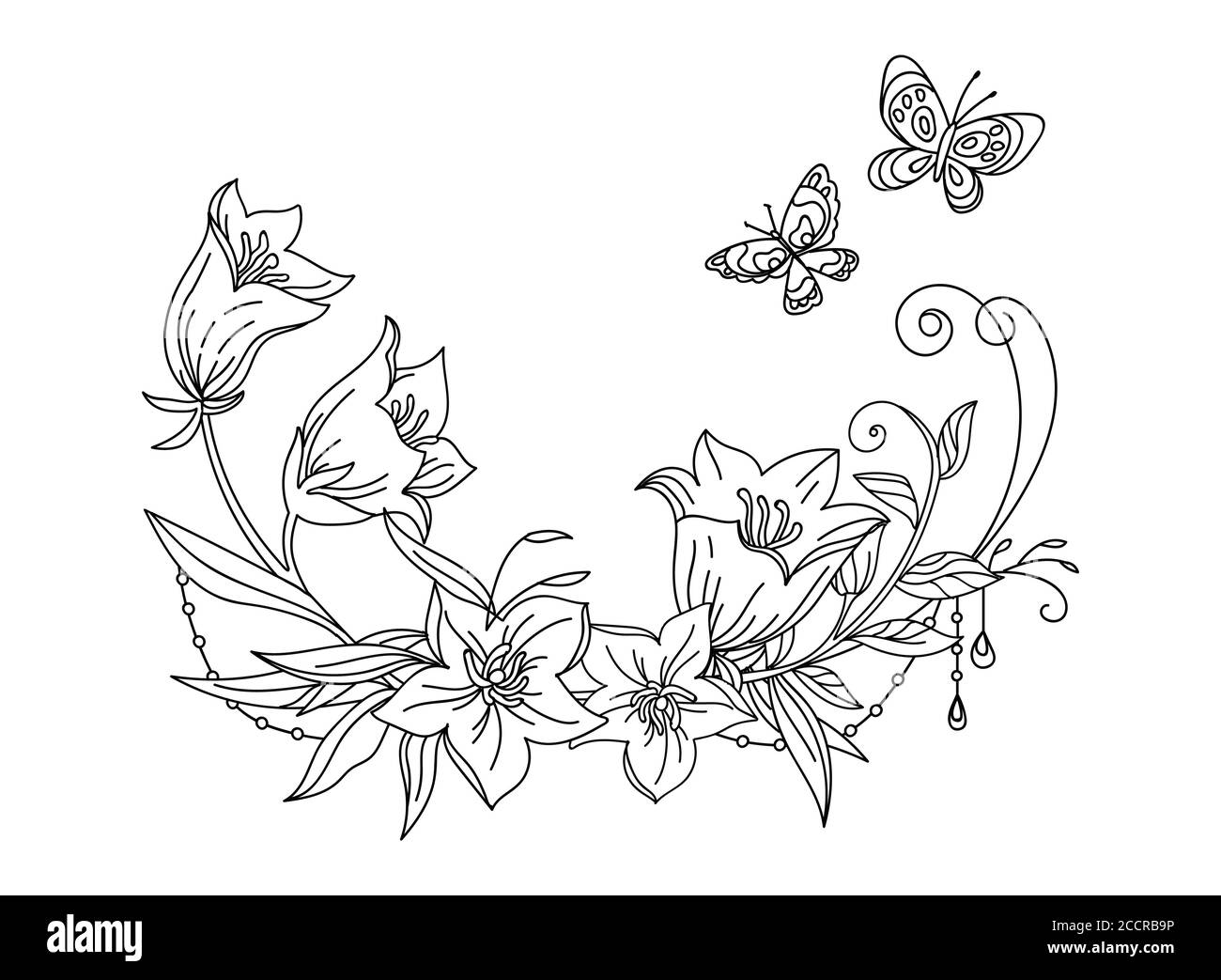 Floral botanical hand drawn line art bell flowers and butterfly ...