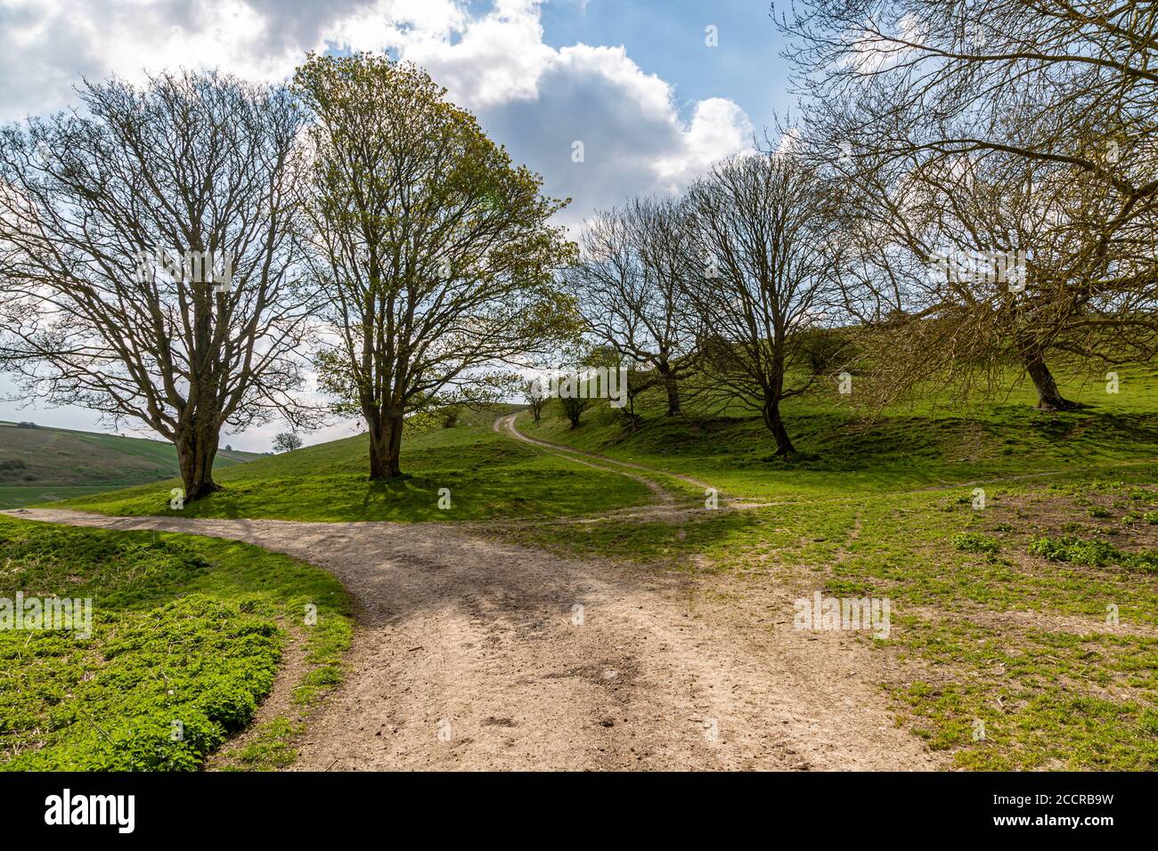 A pathway in the Sussex countryside on a sunny spring day Stock Photo ...
