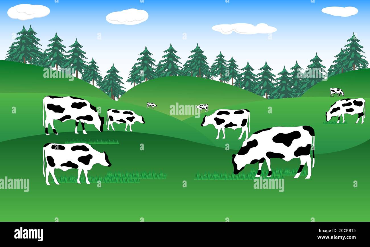 beef milk cow in farm in wild nature with mountain landscape view ...