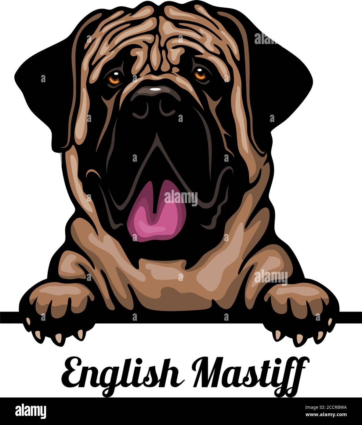 Bullmastiff Stock Vector Images - Alamy