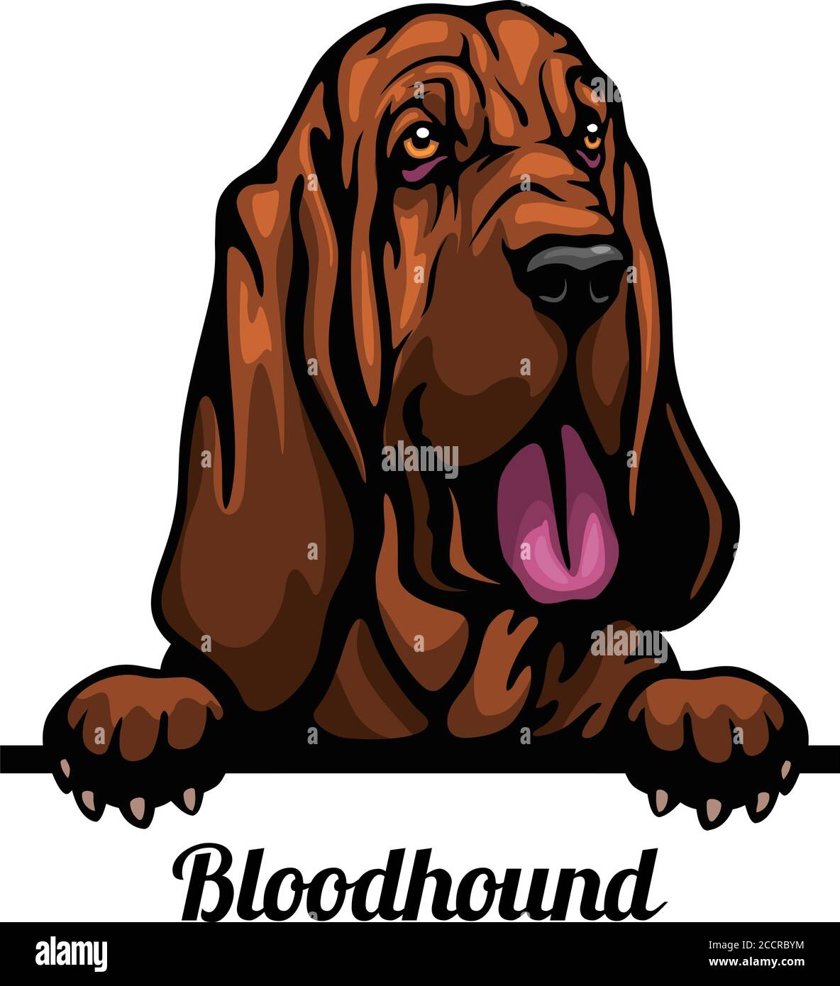 Bloodhound Mix Puppies