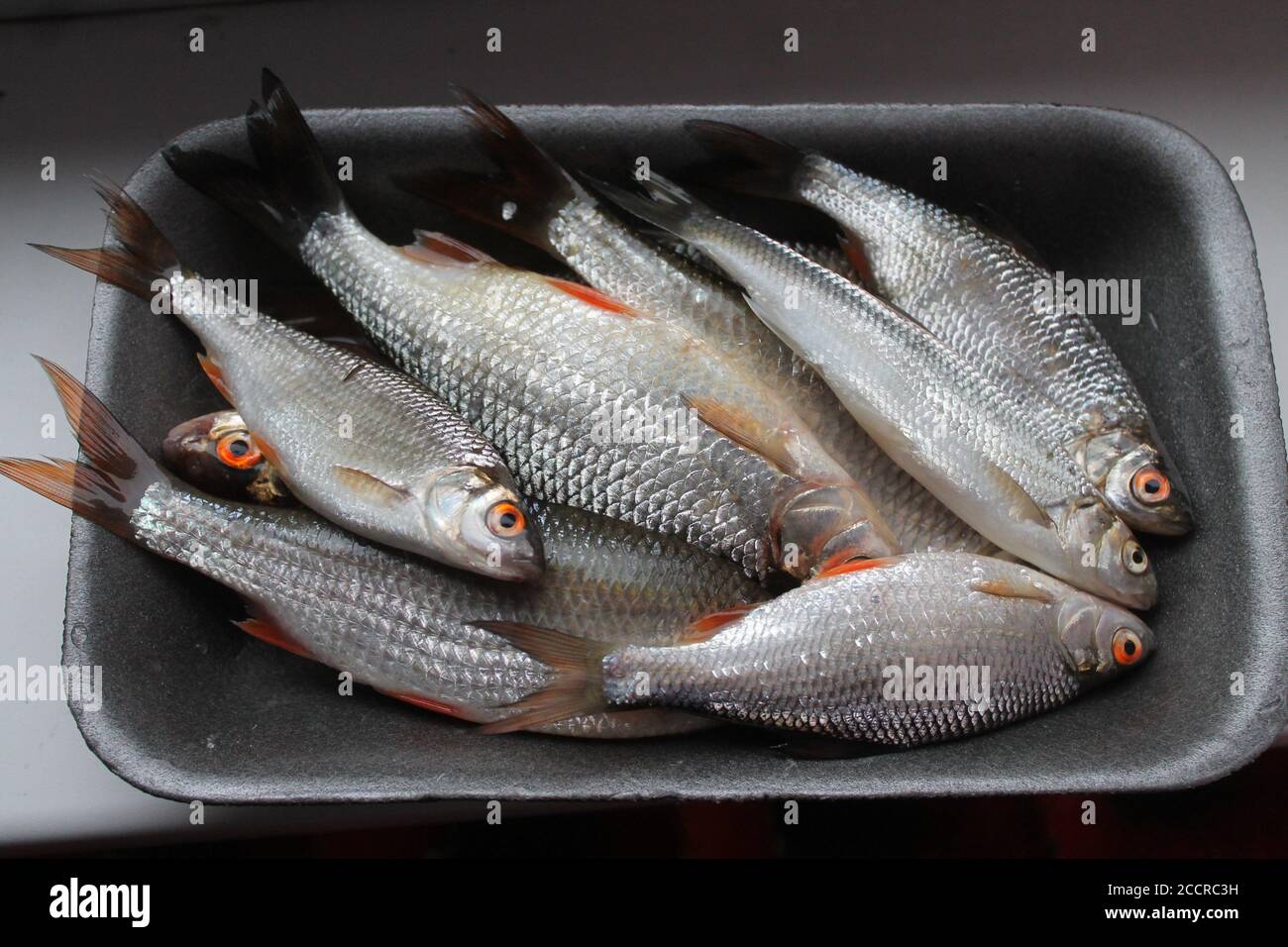 Eat holiday hi-res stock photography and images - Alamy