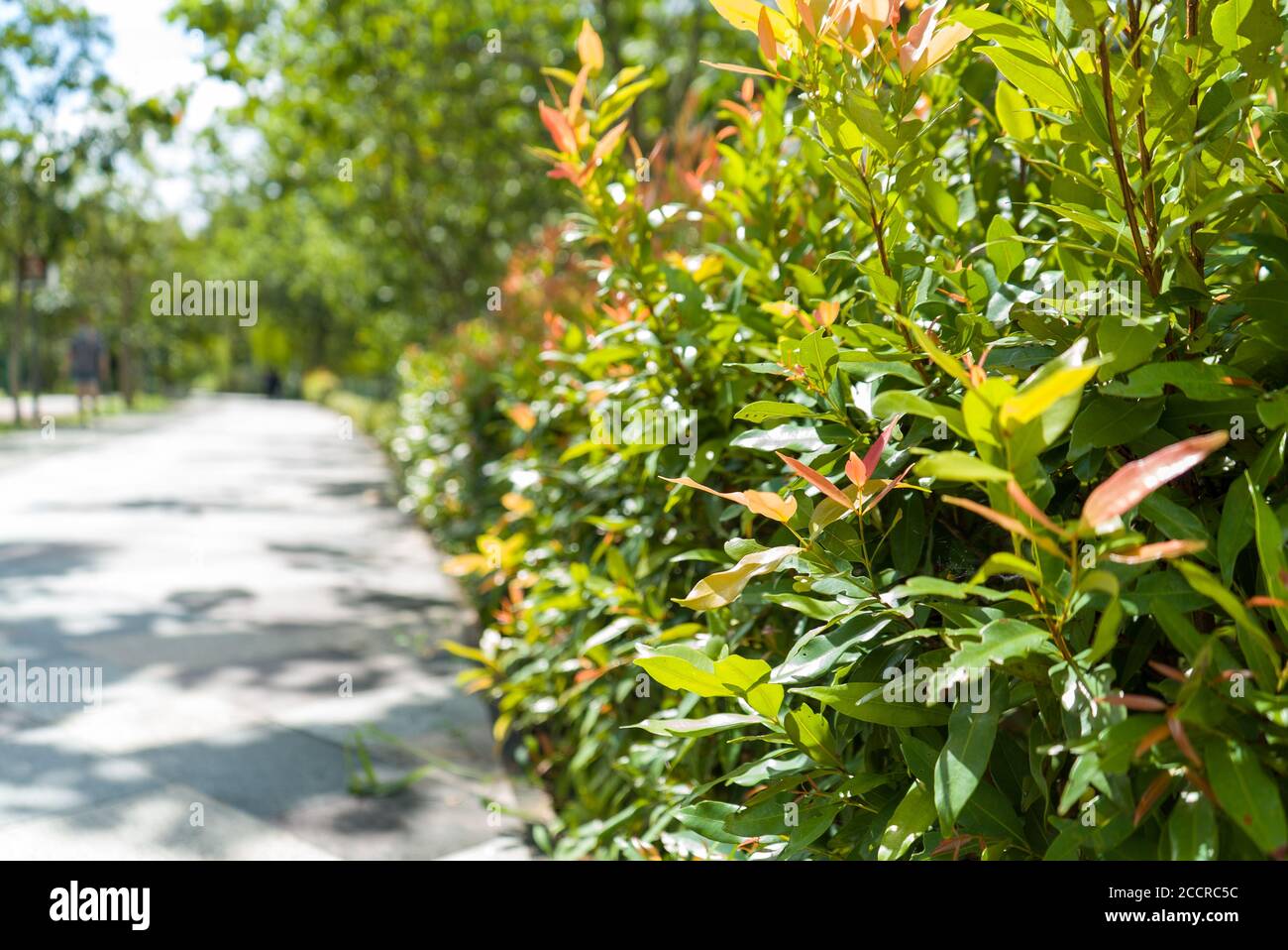 Nature with human a together as one Stock Photo - Alamy