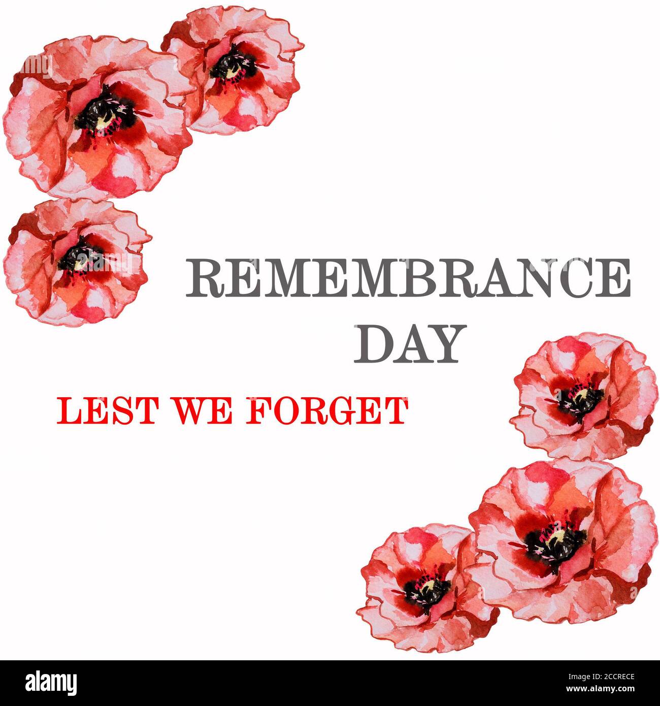 Beautiful picture of poppy flowers. Happy Remembrance Day Stock Photo ...