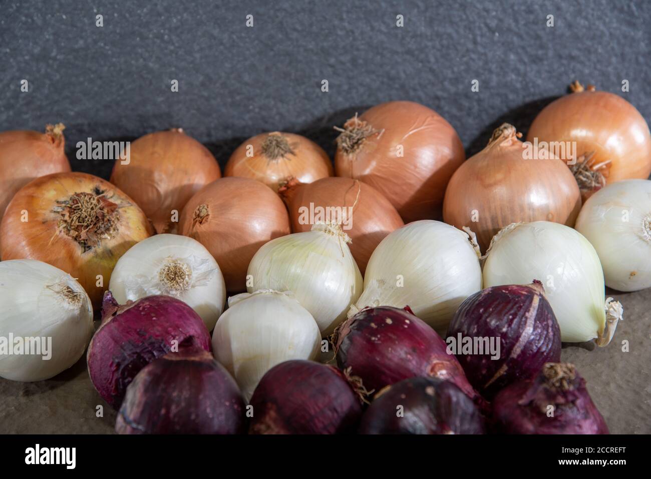 Onion is the popular name of the plant whose scientific name is Allium ...