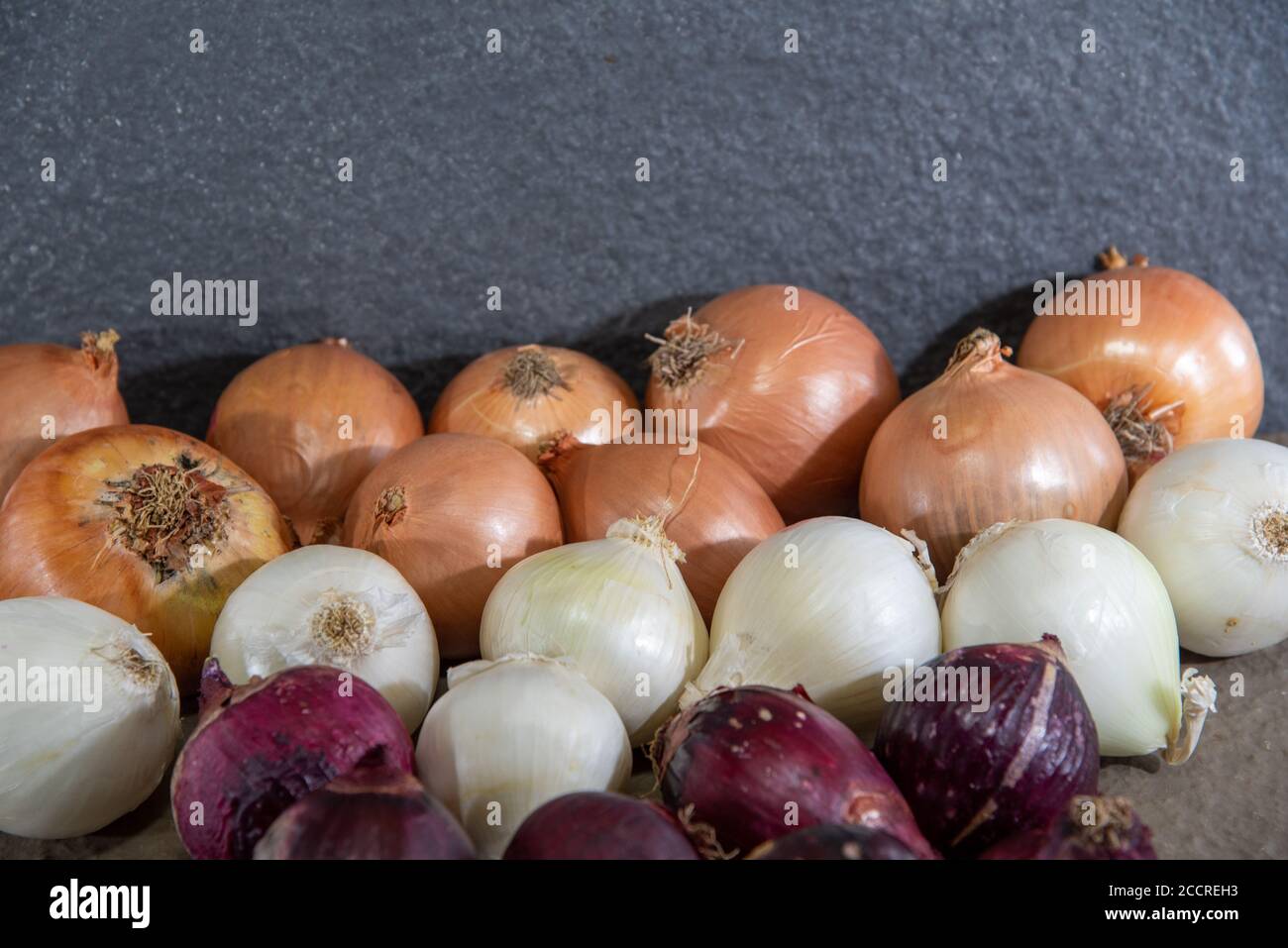 Names Of Onion Plants