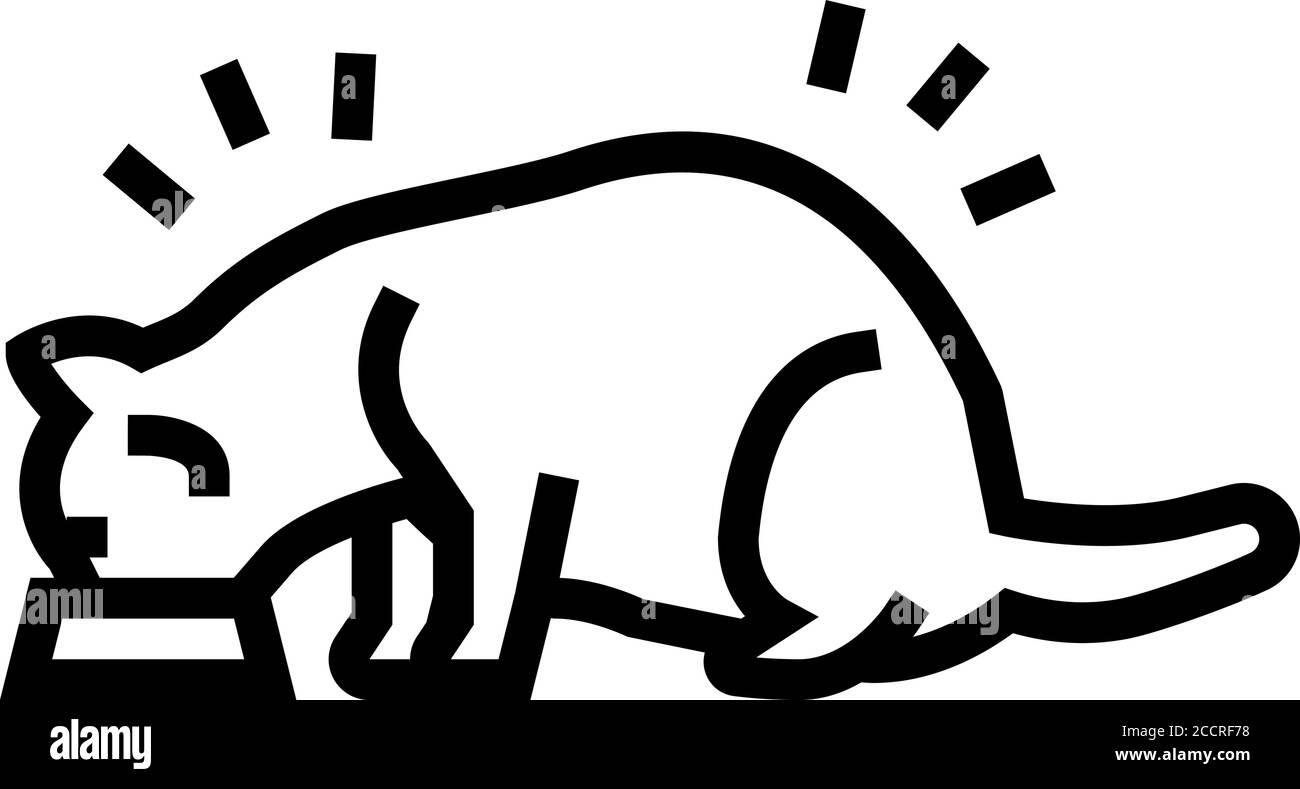 cat eating food line icon vector illustration Stock Vector Image & Art ...
