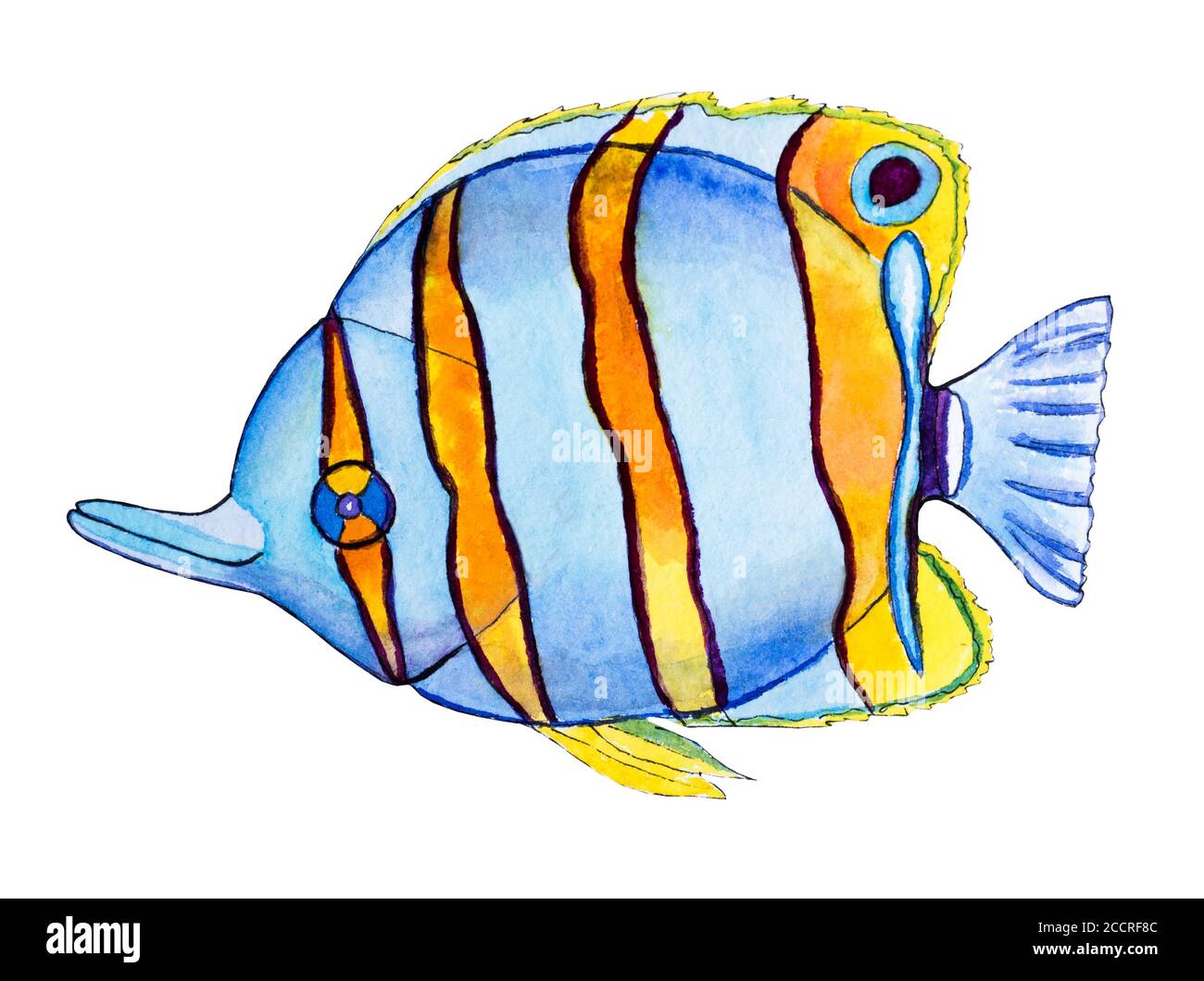 Beautiful Fish Drawing