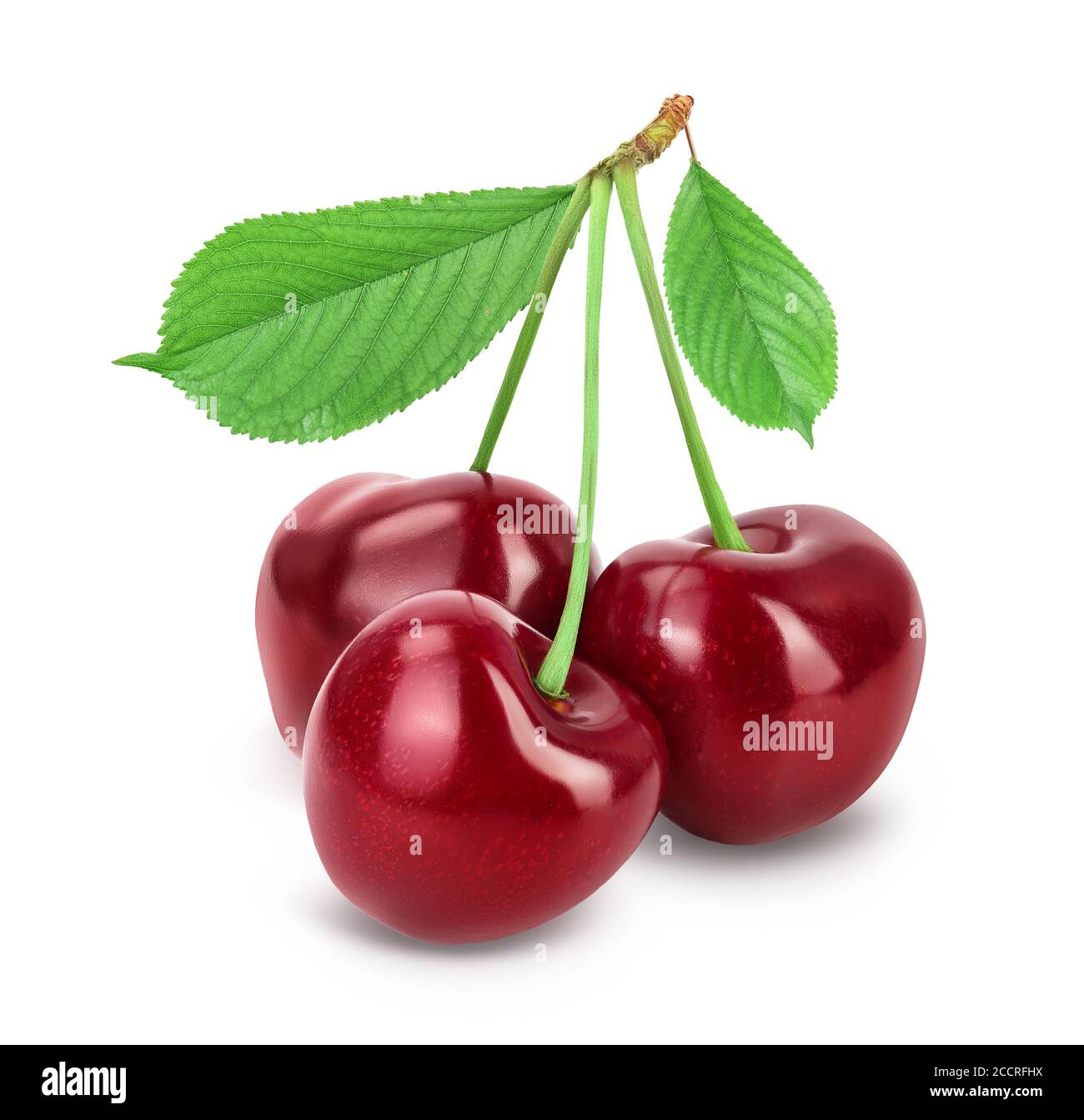red sweet cherry isolated on white background with clipping path and ...