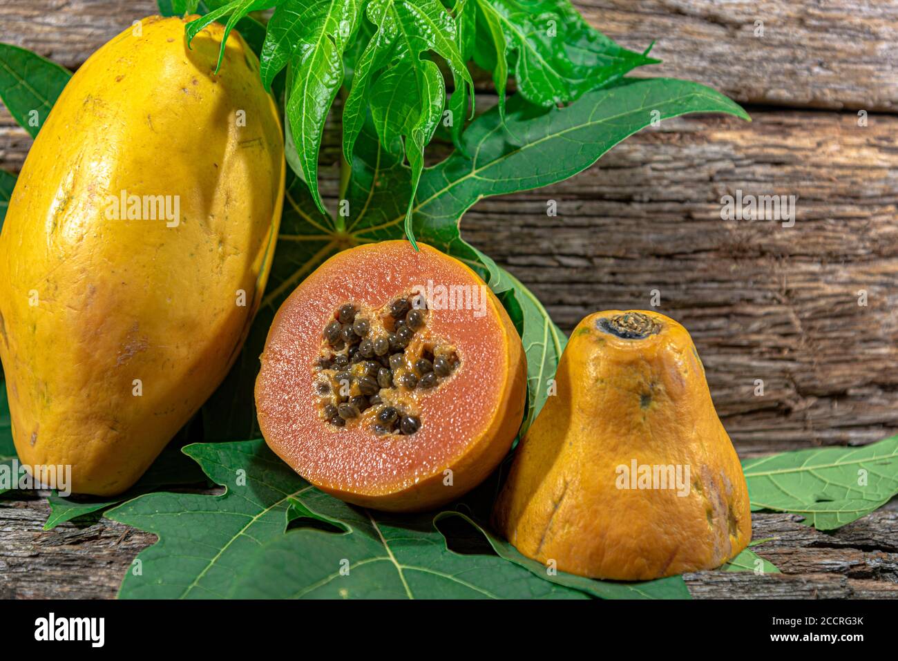 Papaya Formosa (Carica papaya). Natural food. Papaya fruit. Carica ...