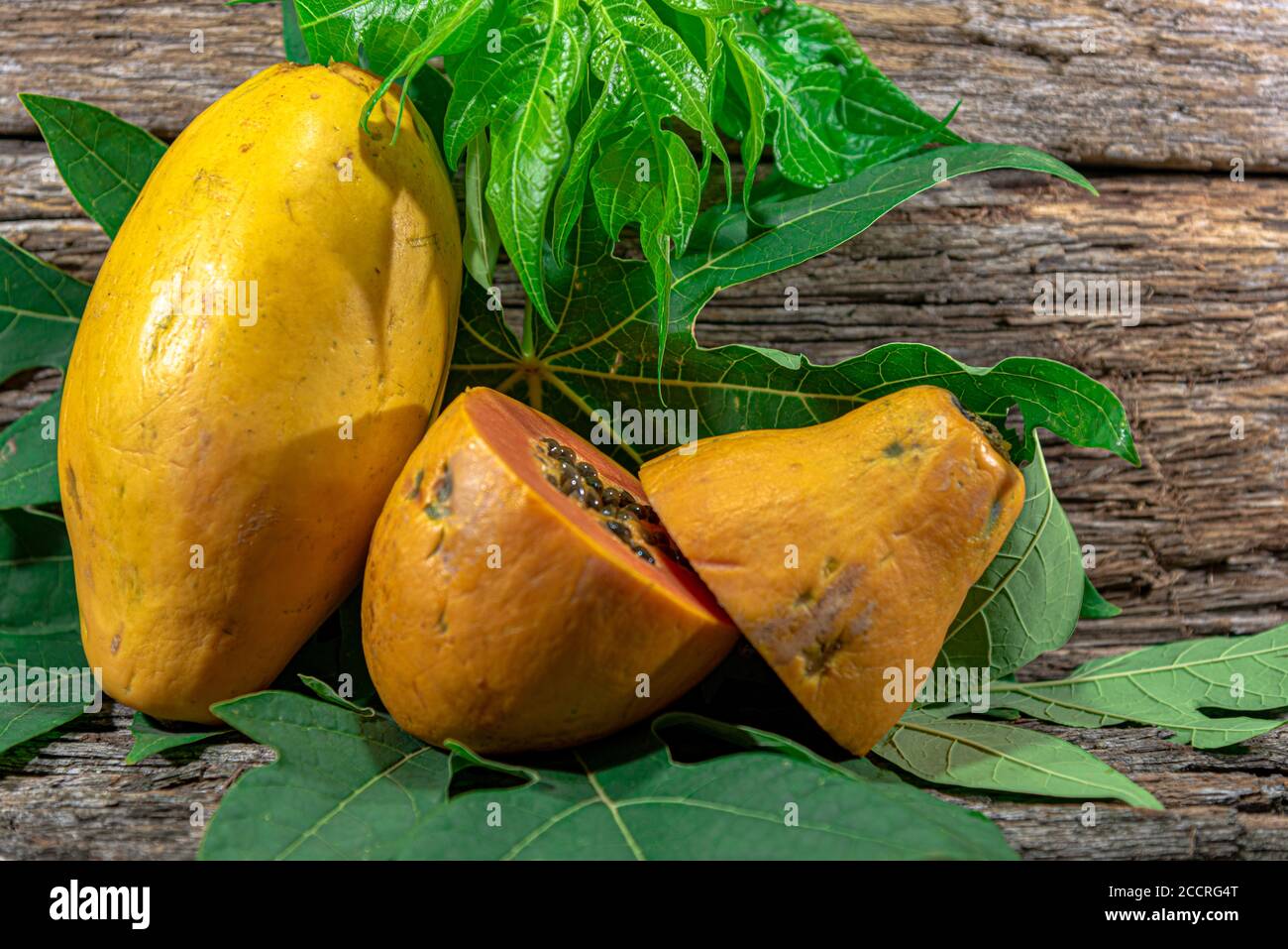 Papaya Formosa (Carica papaya). Natural food. Papaya fruit. Carica ...