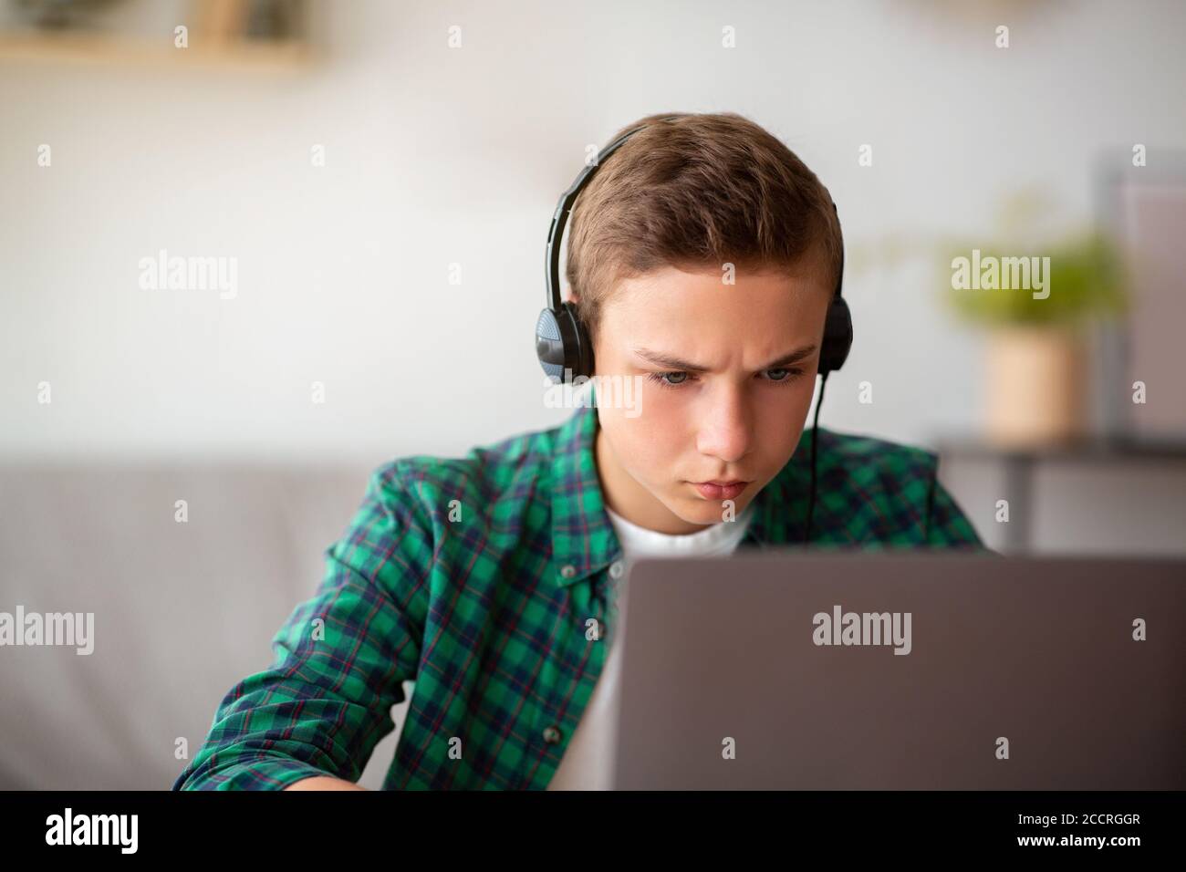 Concentrated teenager using laptop, sitting at home alone Stock Photo ...