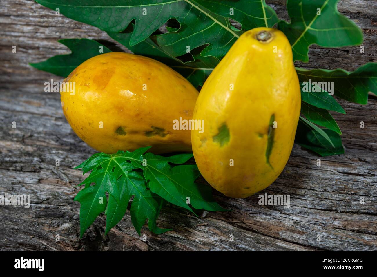 Papaya fruits papaya. Papaya is a tasty and healthy fruit, rich in ...