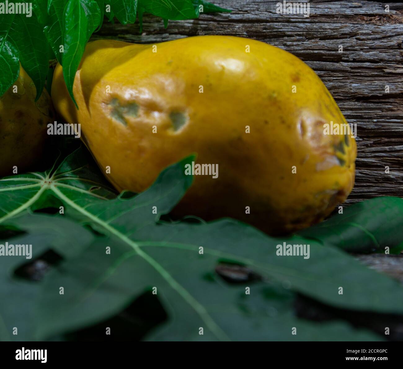Papaya fruits papaya. Papaya is a tasty and healthy fruit, rich in ...