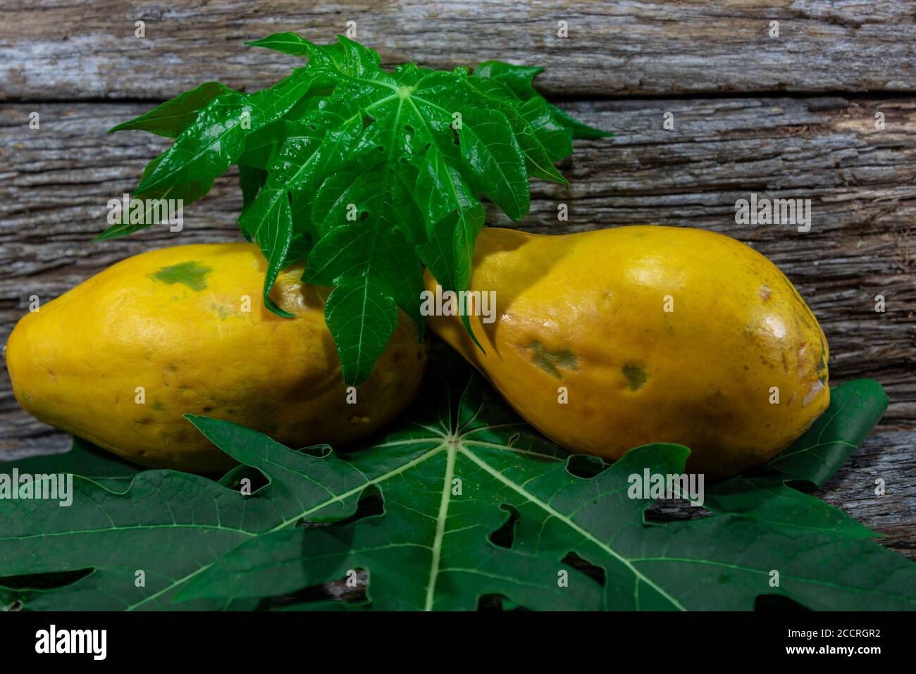 Papaya fruits papaya. Papaya is a tasty and healthy fruit, rich in ...