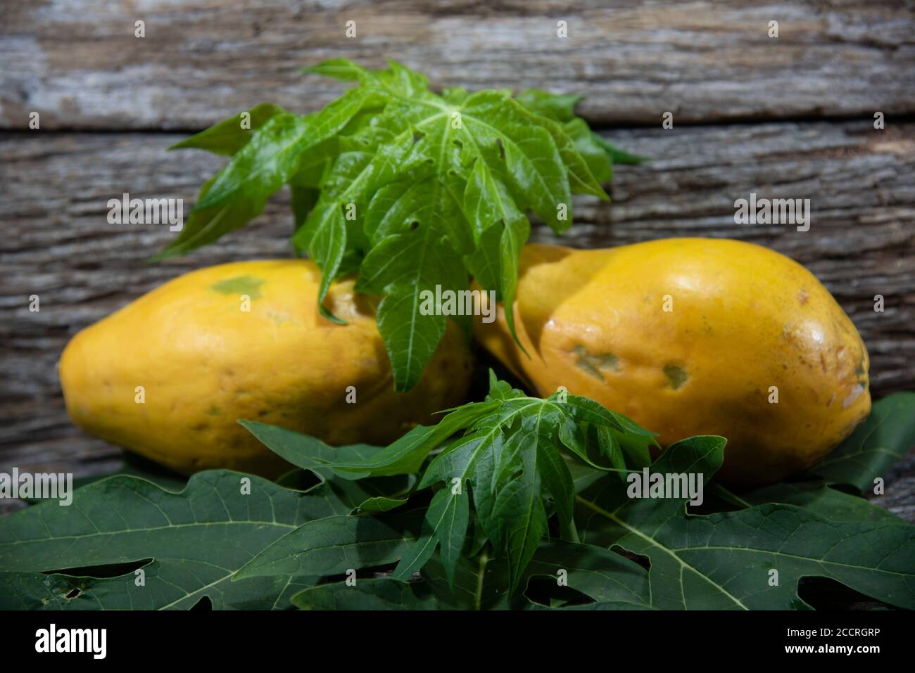 Papaya fruits papaya. Papaya is a tasty and healthy fruit, rich in ...