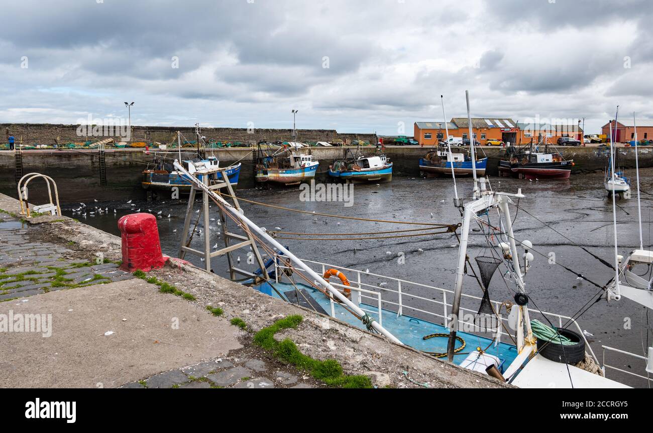 Fishing boats aground at low tide and moored in Port Seton harbour ...