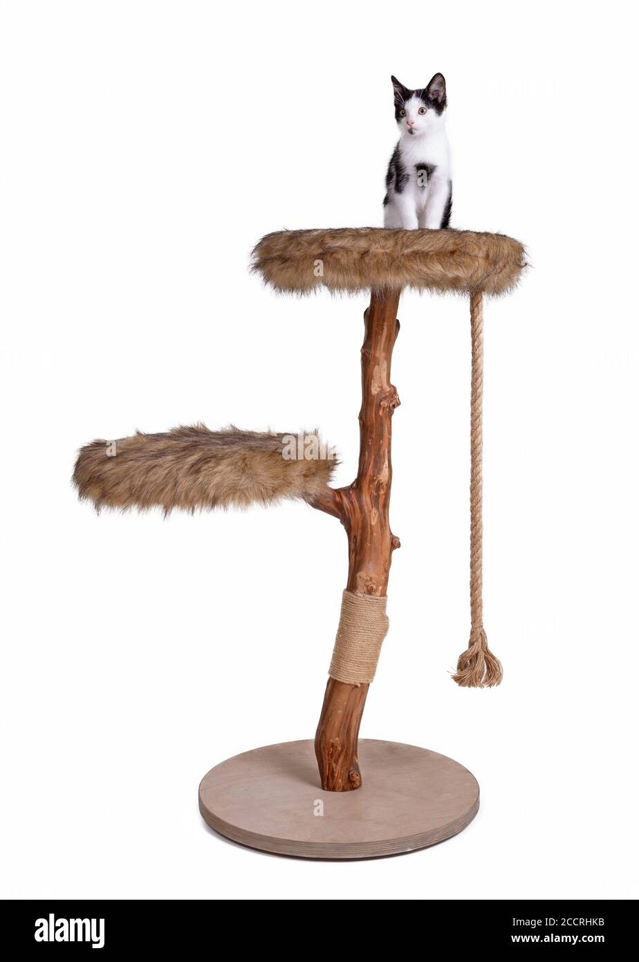 Curious modern Cut Out Stock Images & Pictures - Alamy