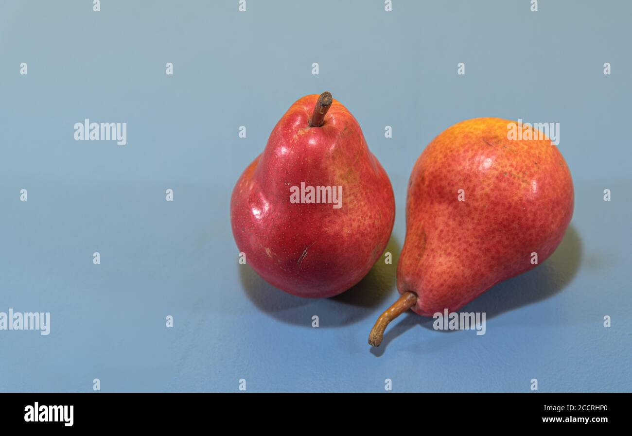 Pyrus comunis l. Red fruits. Fresh fruits on blue background and white ...
