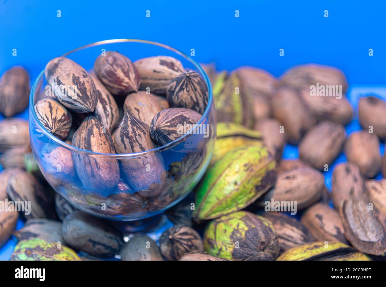 Pecan or pecan (Carya illinoinensis) fruits. Exotic fruit. Nuts. Exotic ...