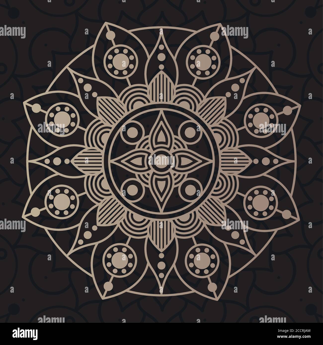 decorative floral monochrome mandala ethnicity frame in black ...