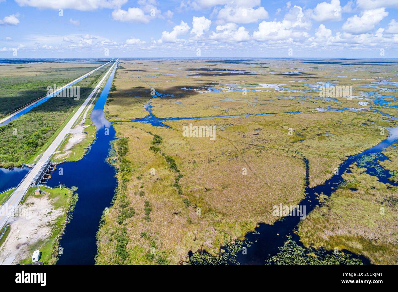 River of grass sawgrass everglades hi-res stock photography and images ...
