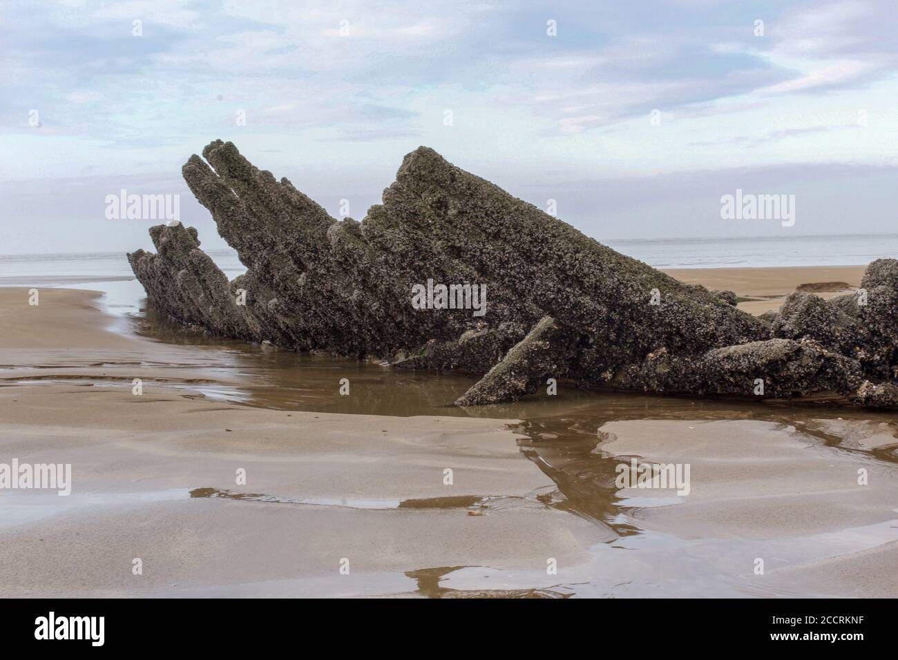 Ancient wooden shipwreck, buried in sand Stock Photo - Alamy