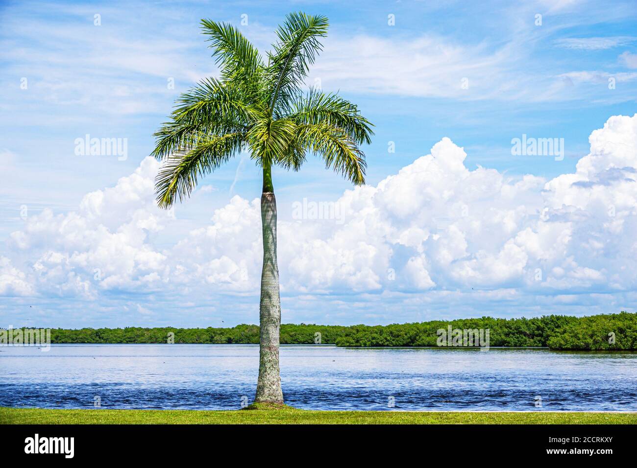 Matlacha isles hi-res stock photography and images - Alamy