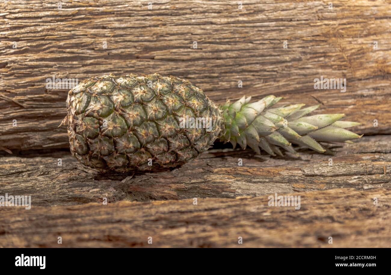 Fresh pineapple. Fruit that belongs to the family of bromeliads, comes ...