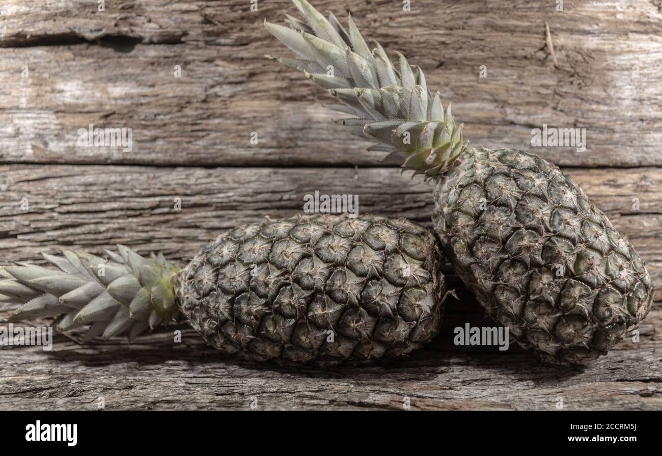 Pineapple fruit. Also known as pineapple, it is a tropical ...