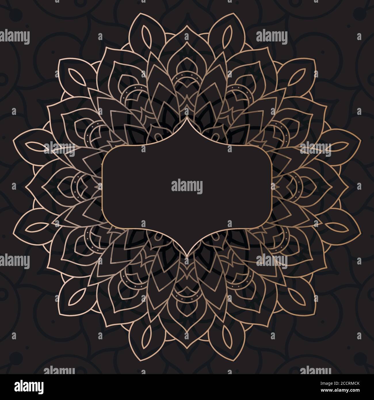 decorative floral monochrome mandala ethnicity frame in black ...