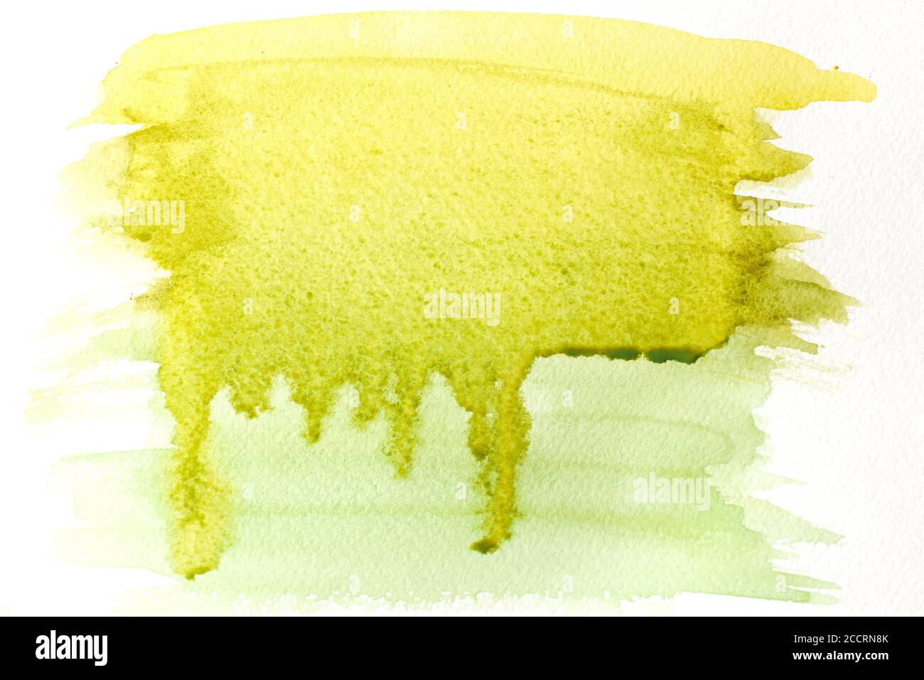 Green parchment paper texture hi-res stock photography and images - Alamy