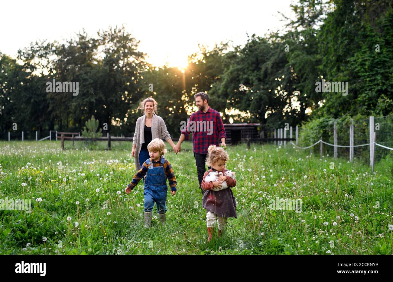 Portrait of family with small children walking on farm, resting Stock ...