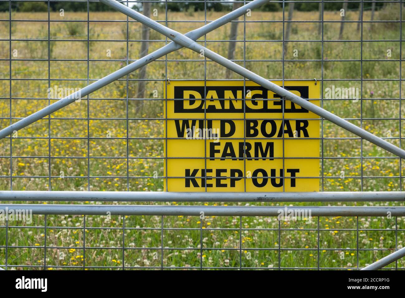 Warning sign: Danger Wild Boar Farm Keep Out attached to fence in field ...