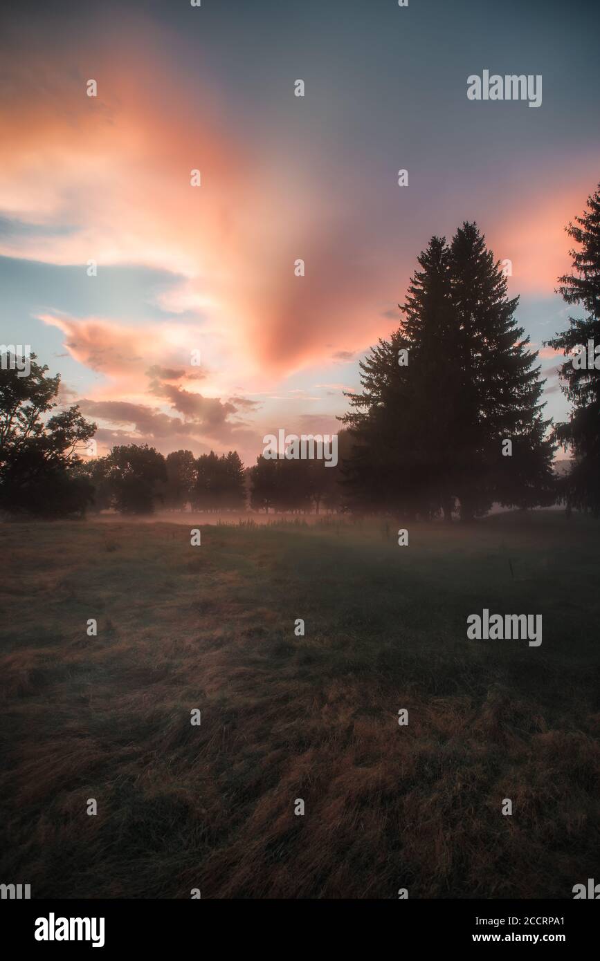 Foggy wooded landscape in ohio midwest Stock Photo - Alamy