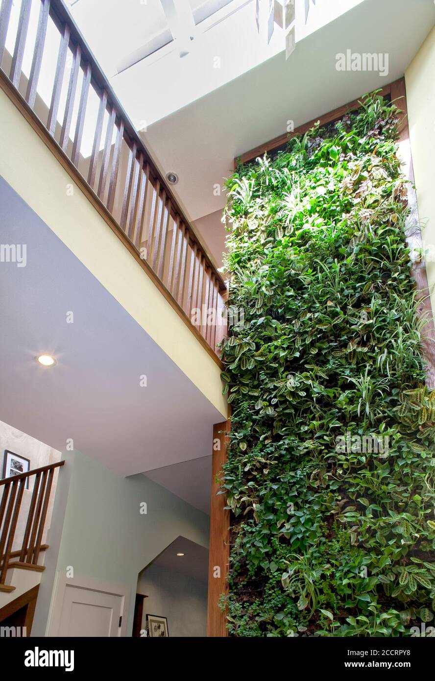 Vertical Indoor Green Wall Stock Photo - Alamy