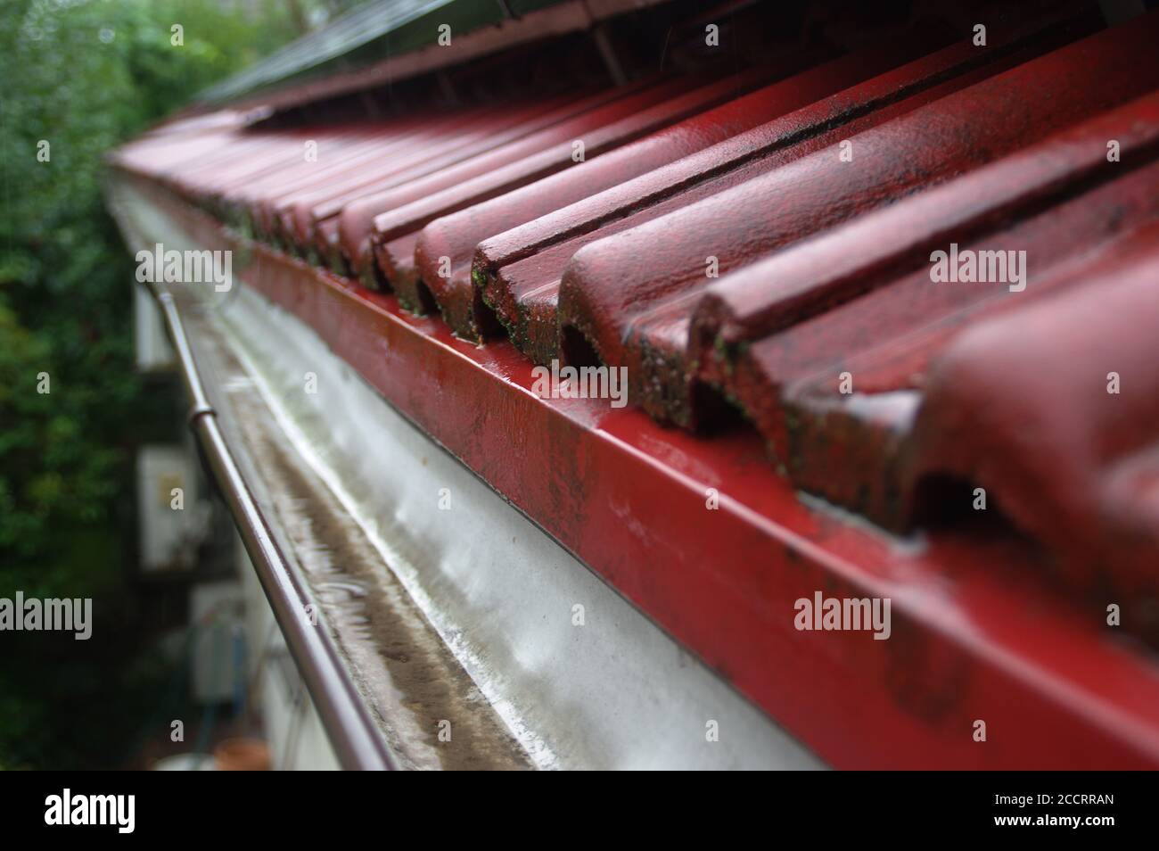 Wet tiles and gutter on the roof. Cover the house during the rain ...