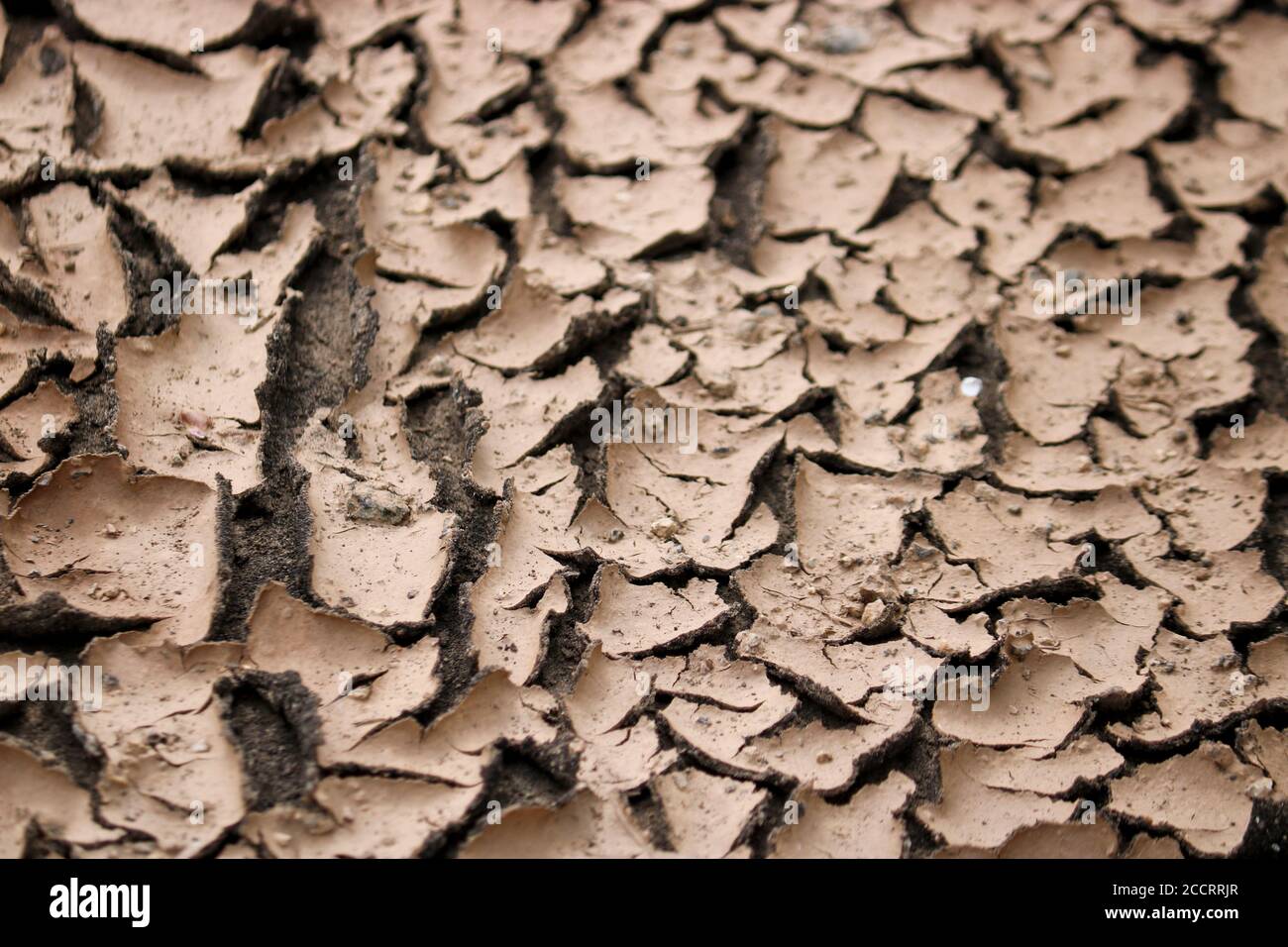 Dried slush. Texture cracked dirt. Selective focus. Macro Stock Photo ...