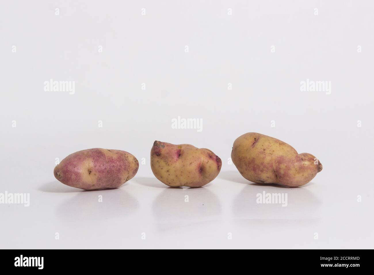 Types of potatoes - Peruvian potatoes still life - Huayro potato Stock ...