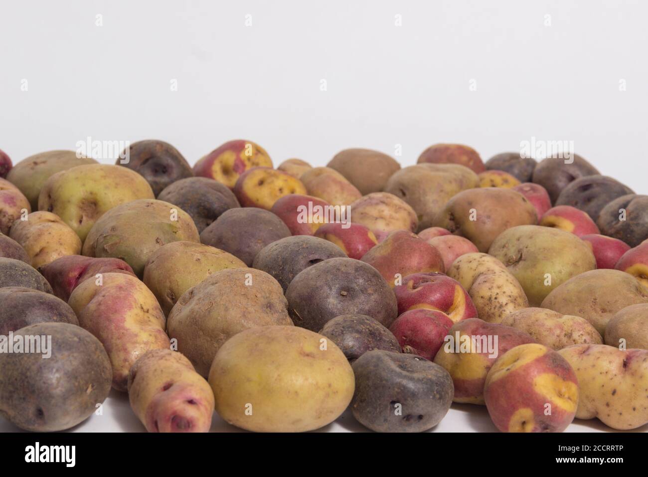 Types of potatoes - Peruvian potatoes still life Stock Photo - Alamy