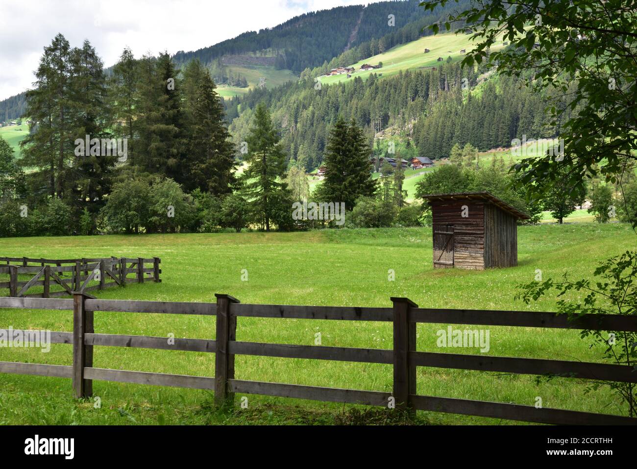 Small green agricultural mountain meadow Stock Photo - Alamy