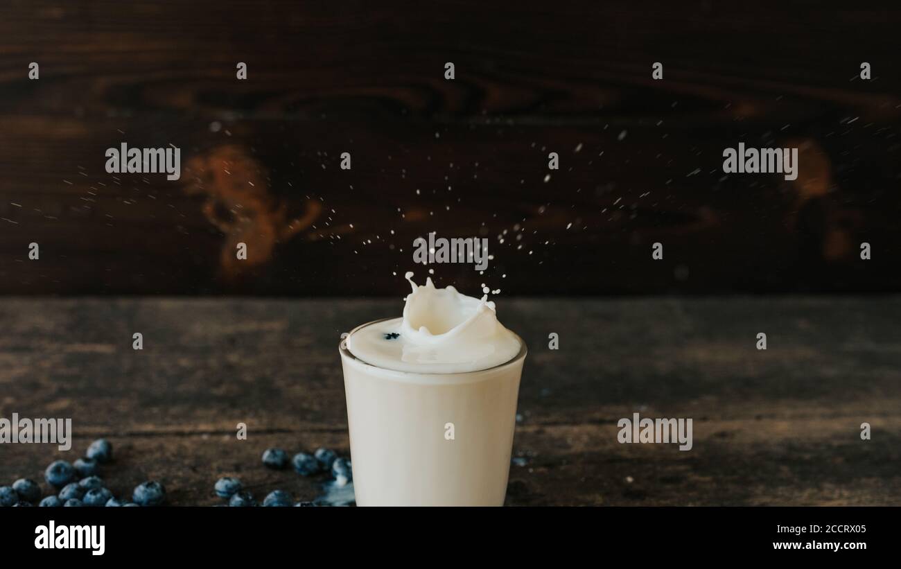 Berries are thrown into the transparent glass making splashes of milk ...