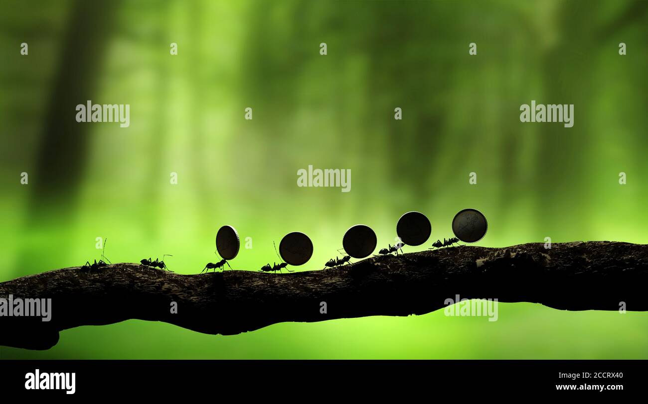 ants carrying money 3D rendering Stock Photo - Alamy