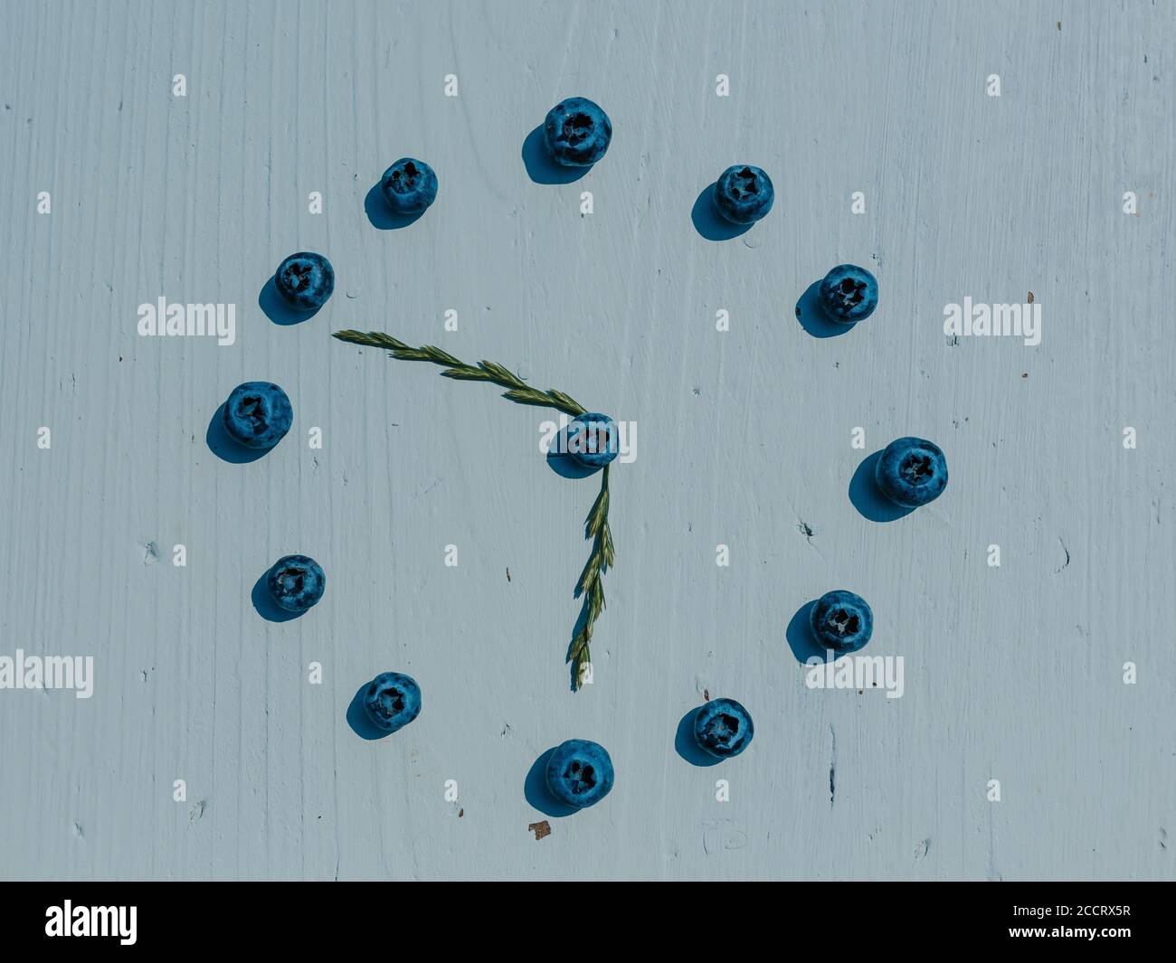 blueberries folded in a circle in the shape of a clock Stock Photo - Alamy