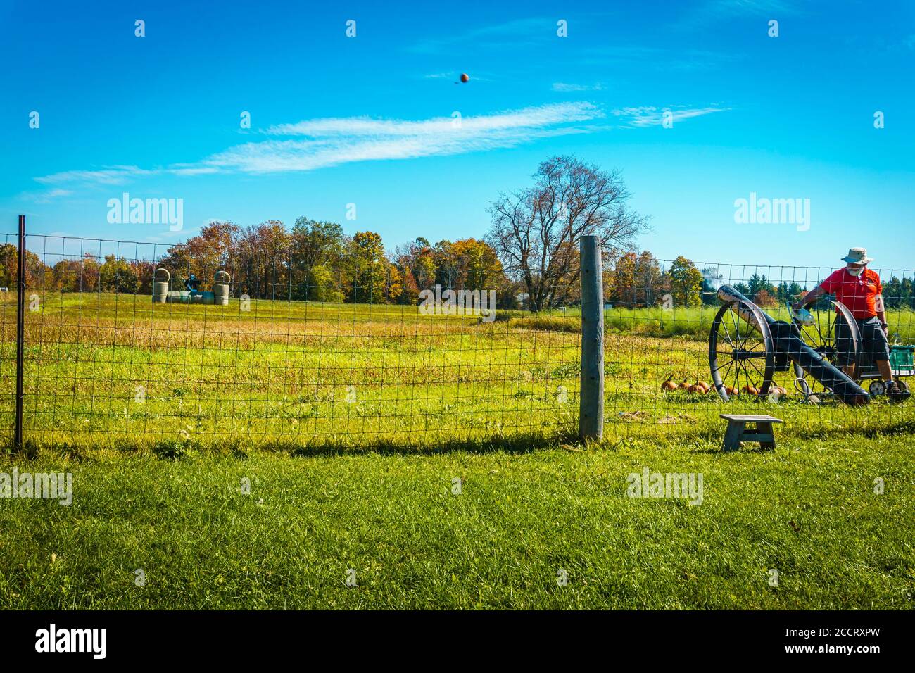 Pingle S Farm