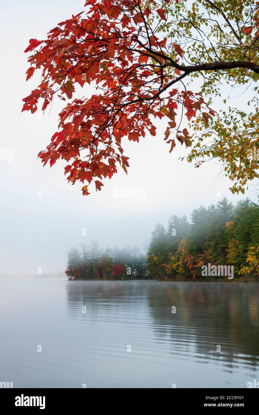 Bon echo hi-res stock photography and images - Alamy