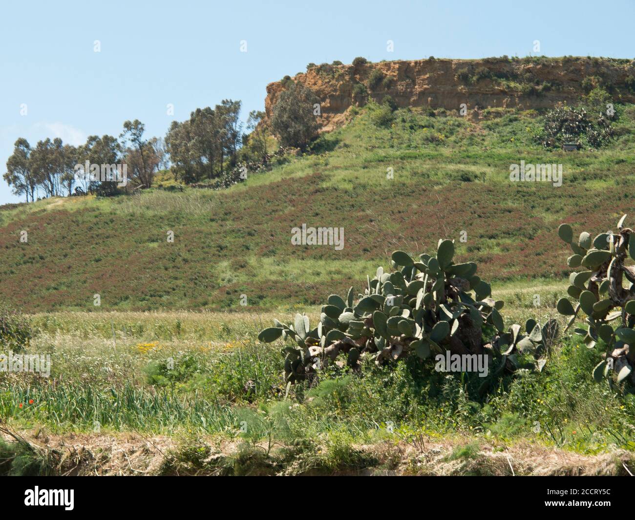 Gozo island in the mediterranean Stock Photo - Alamy