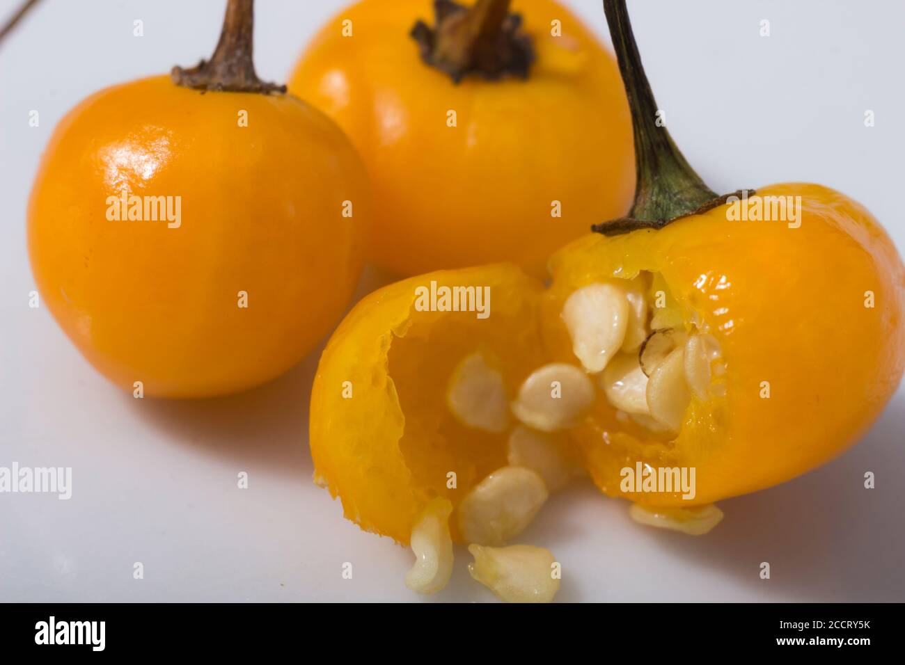 Macro of a Charapita chili - cherry chili. Detail of cherry chili Stock ...