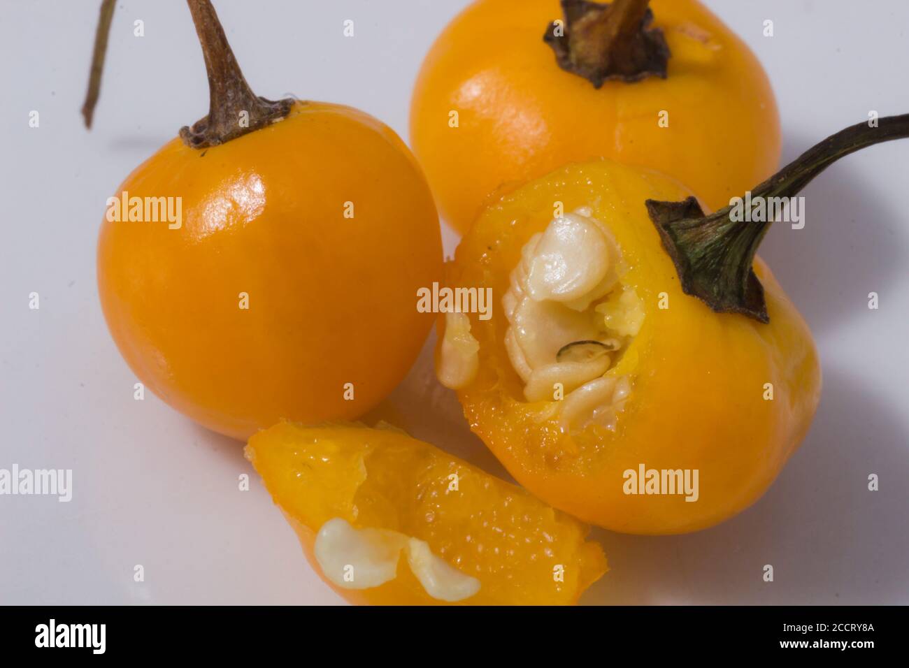 Macro of a Charapita chili - cherry chili. Detail of cherry chili Stock ...
